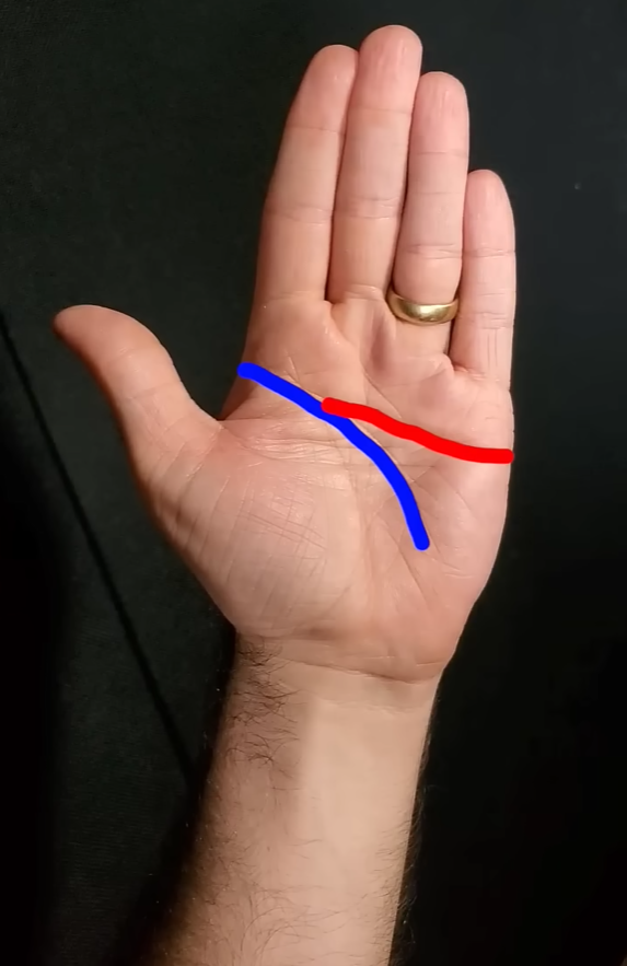 Check je hand: deze zeldzame handlijn onthult iets bijzonders over wie ...